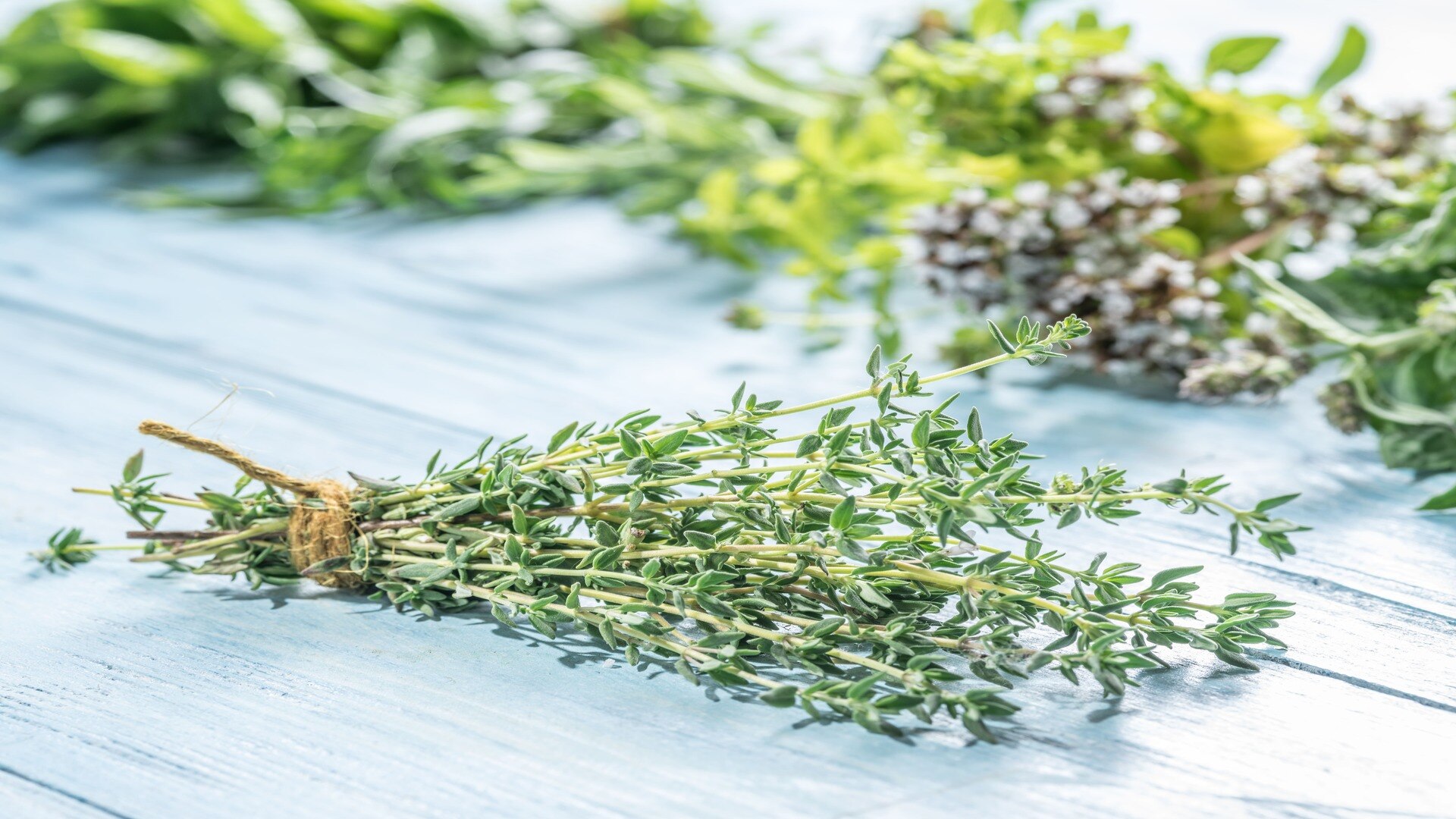 Tomillo - Guía de los alimentos | Nestlé Family Club