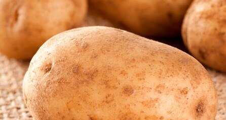 Nutrición | Nestlé Family Club