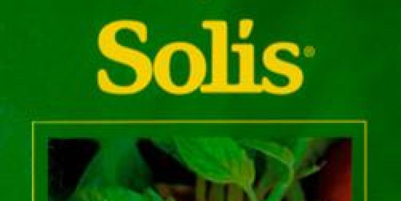 Solís | Marcas | Nestlé Family Club