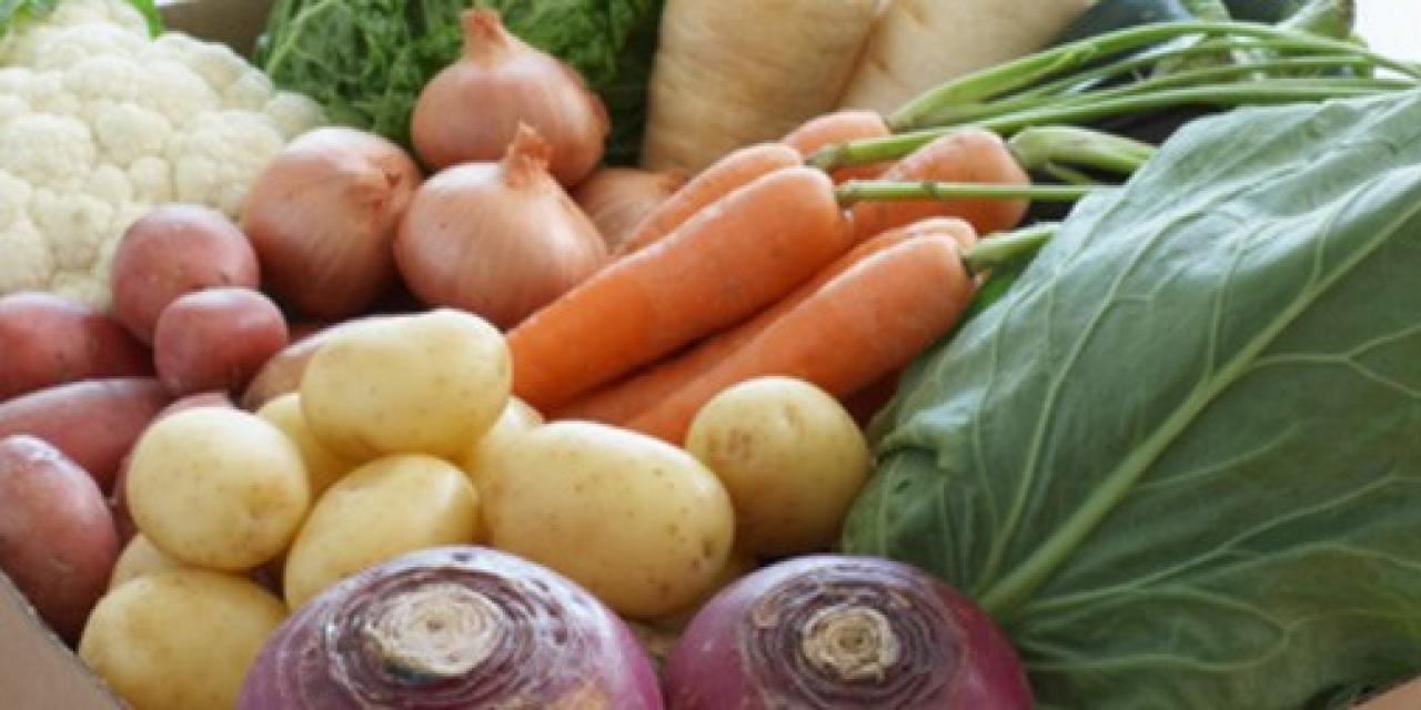 Condimientos y especias - Guía de los alimentos | Nestlé Family Club