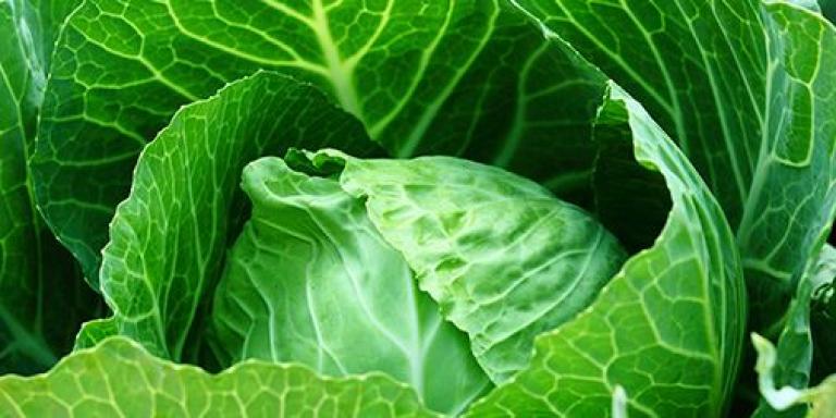 Verduras - Guía de los alimentos | Nestlé Family Club