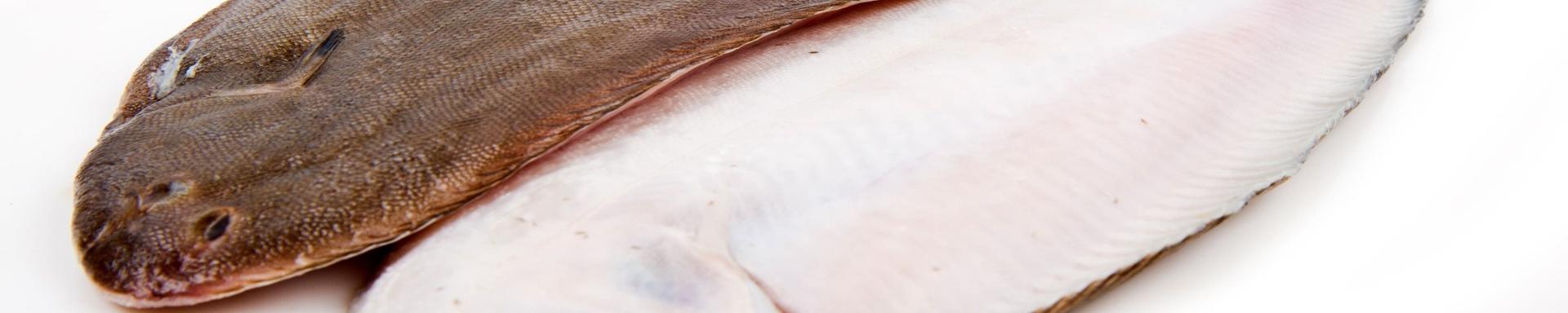 Lenguado - Guía de los alimentos | Nestlé Family Club