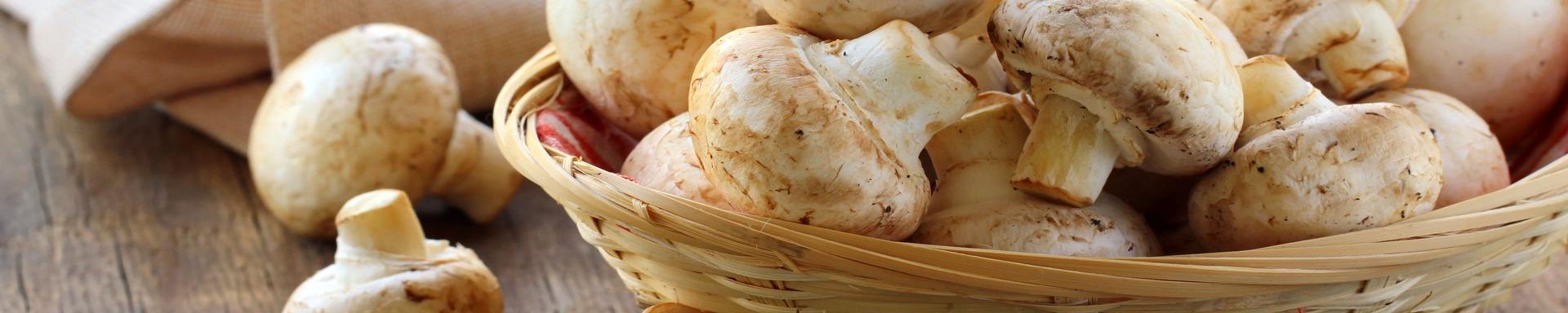 Setas - Guía de los alimentos | Nestlé Family Club