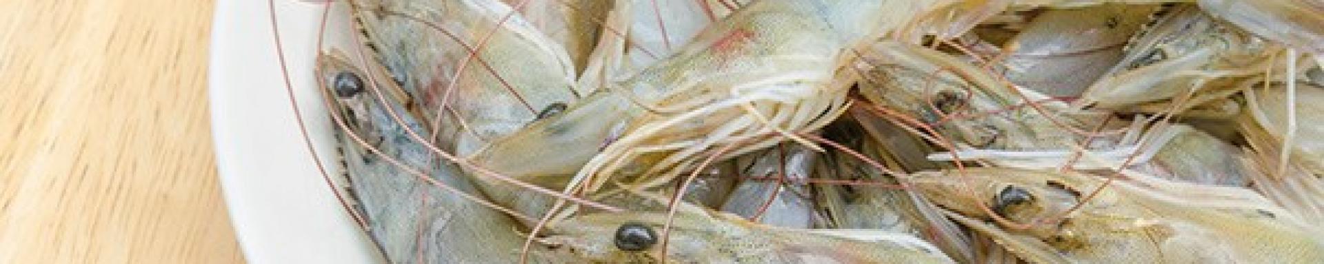 Gamba - Guía de los alimentos | Nestlé Family Club