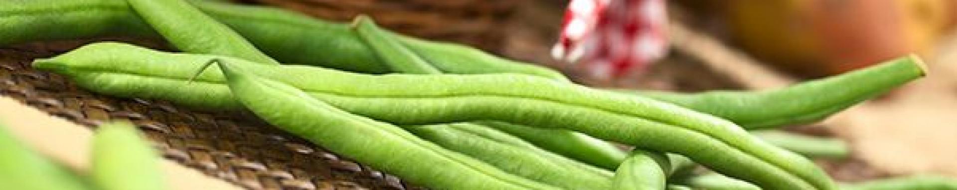 Judía Verde - Guía de los alimentos | Nestlé Family Club