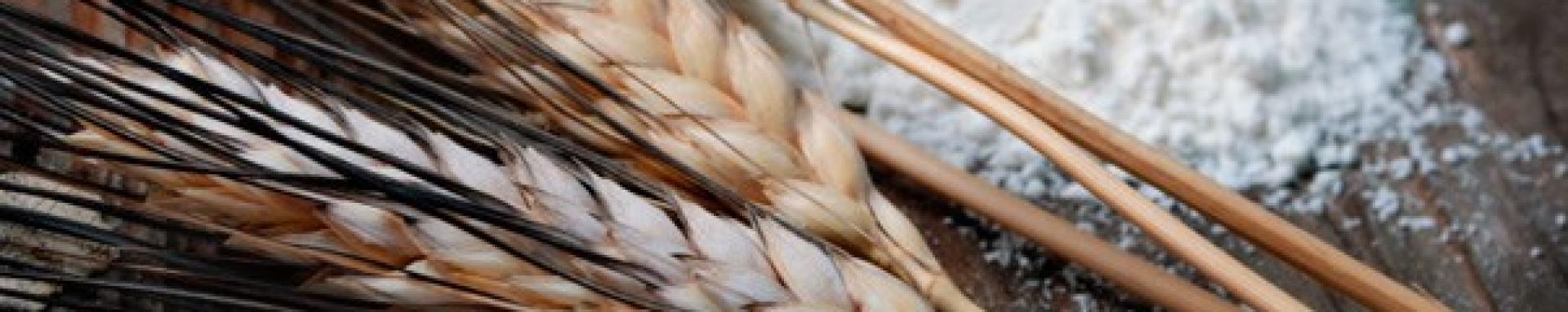 Trigo - Guía de los alimentos | Nestlé Family Club