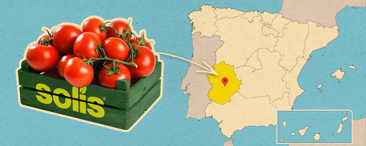 Productos de tomate Solís | Nestlé Family Club